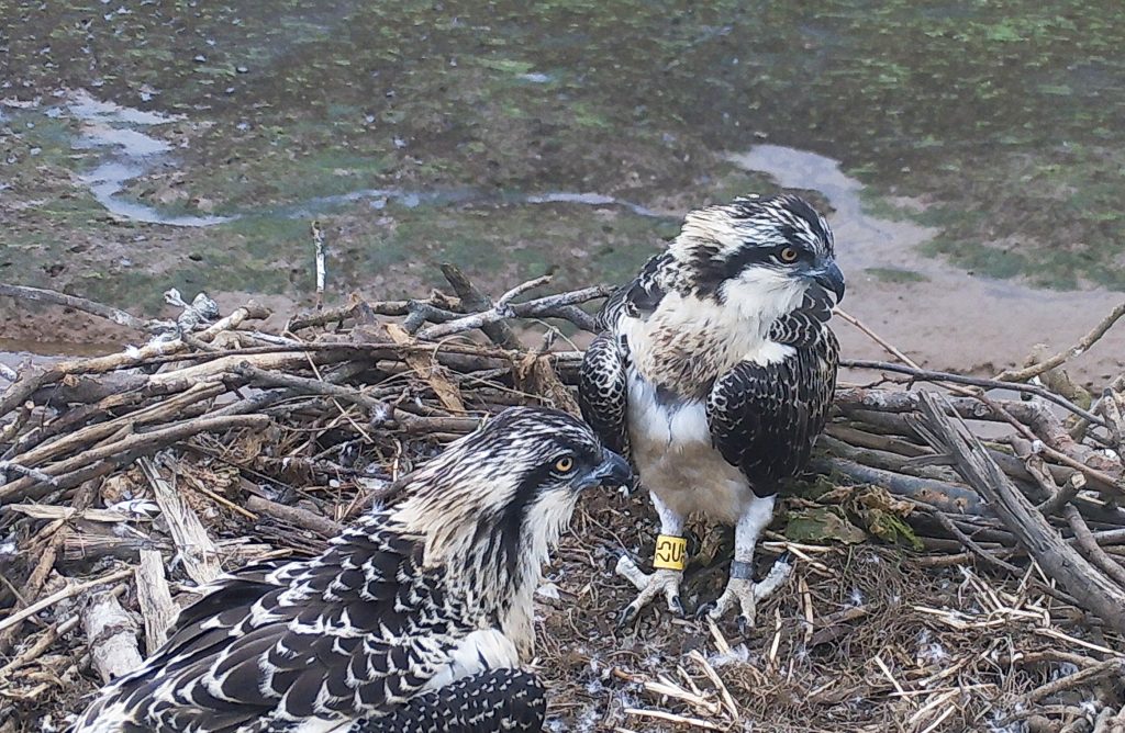 Con la partida de Txuriko finaliza una histórica y exitosa temporada de ...