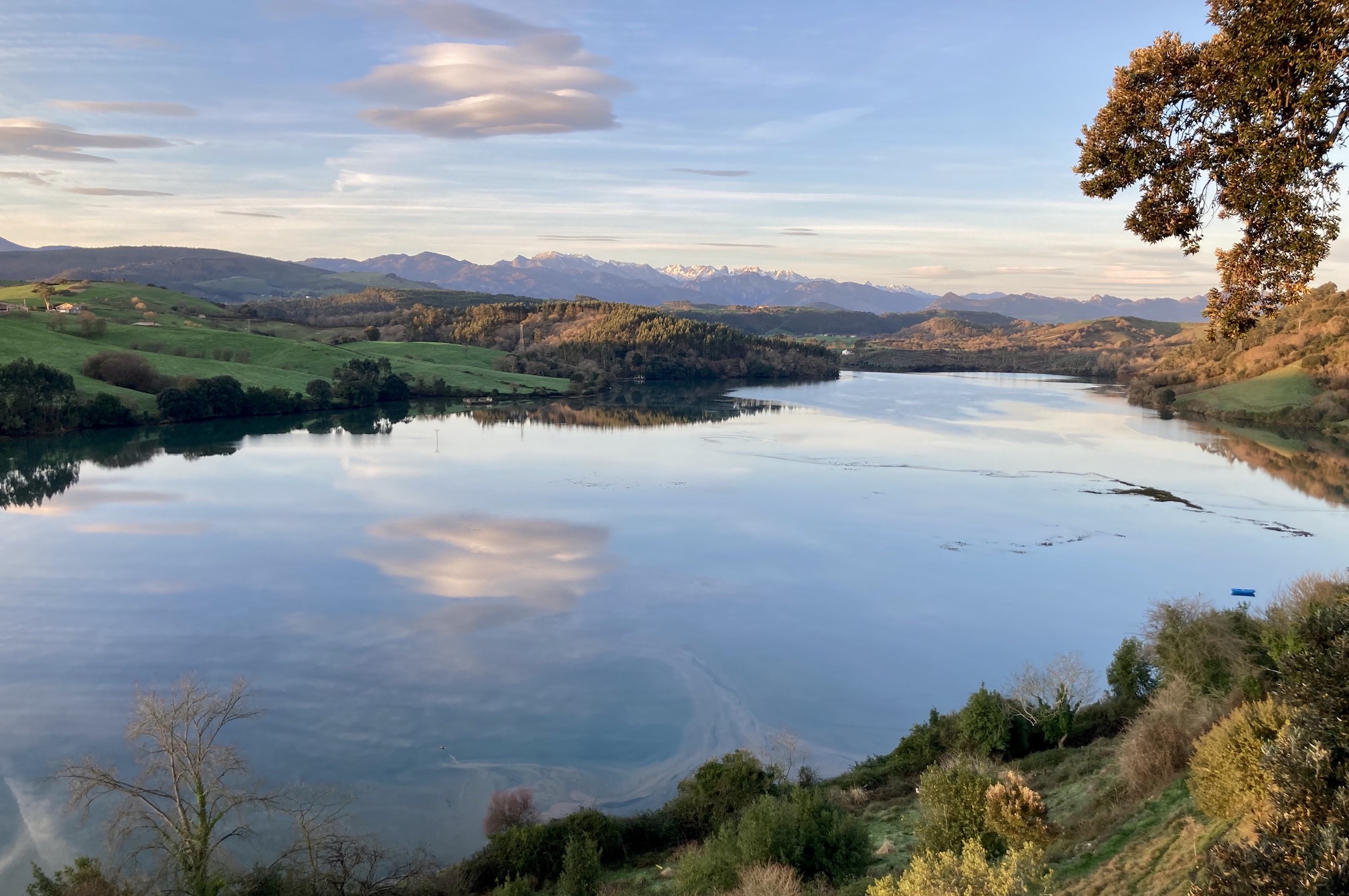 CENSO ÁGUILA PESCADORA INVERNANTE 2022-2023 CANTABRIA – Bahía de Santander